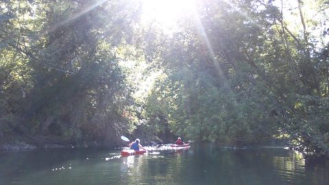 Floating the Little Spokane River Riverside State Park - Tammilee Tips