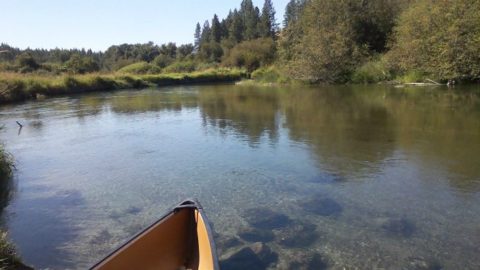 Floating the Little Spokane River Riverside State Park - Tammilee Tips