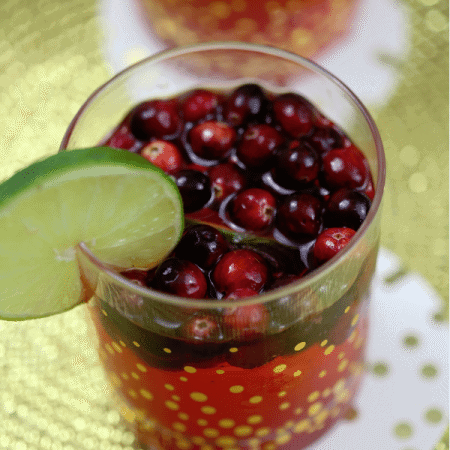 Cranberry Lime Cocktail Recipe