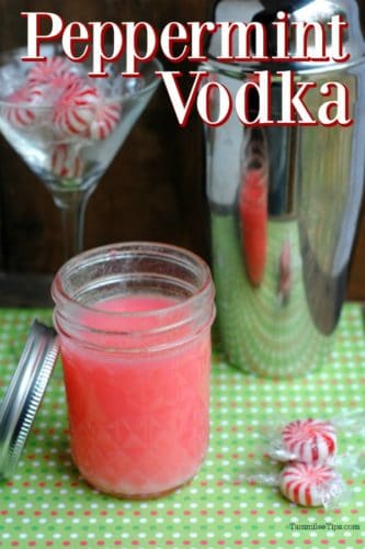 Homemade Peppermint Vodka Made From Candy - Tammilee Tips