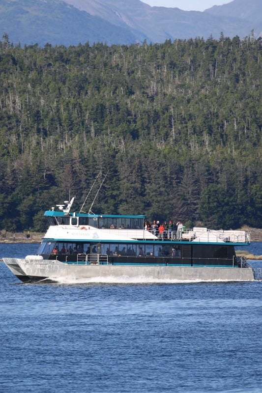 Juneau Whale Watching Excursion - Tammilee Tips