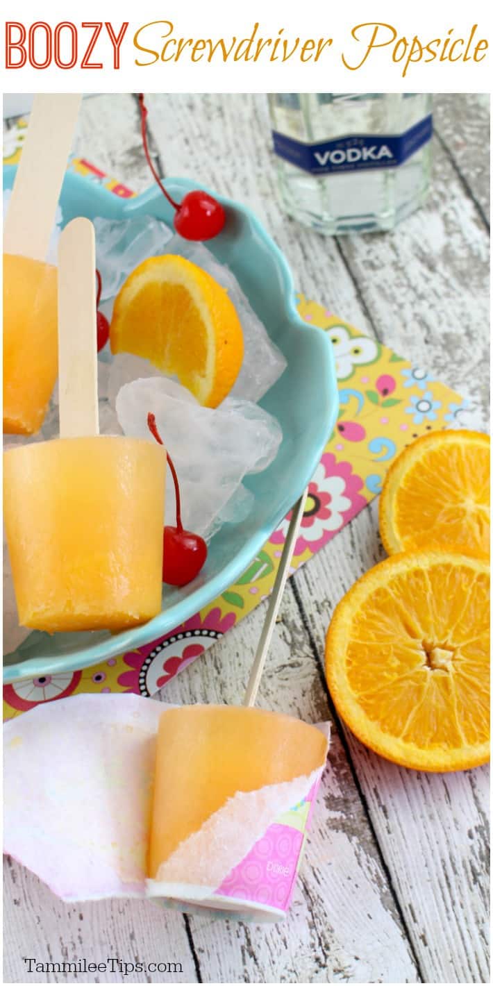 Alcoholic Adult Screwdriver Popsicle Recipe - Tammilee Tips
