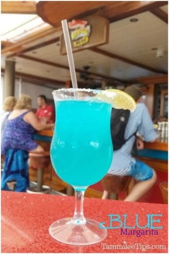 Blue Margarita Recipe - Tammilee Tips