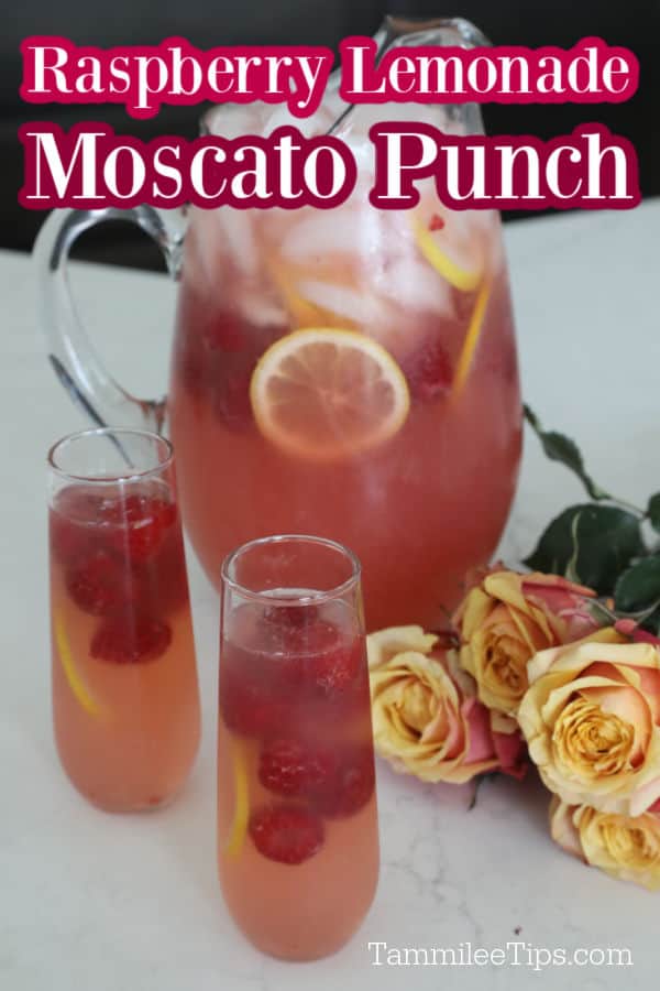 Raspberry Lemonade Moscato Punch Cocktail - Tammilee Tips