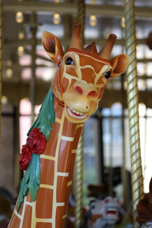 Grand Rapids Public Museum - Tammilee Tips