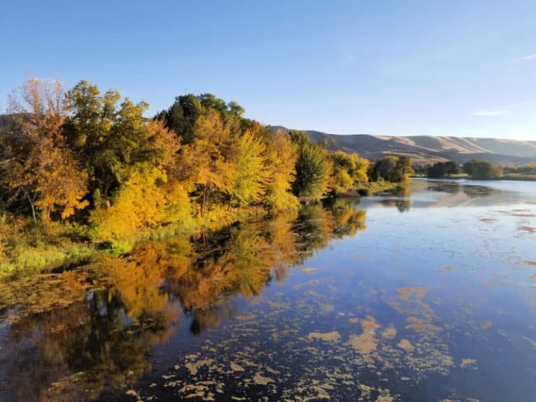 Things to do in Prosser, Washington - Tammilee Tips