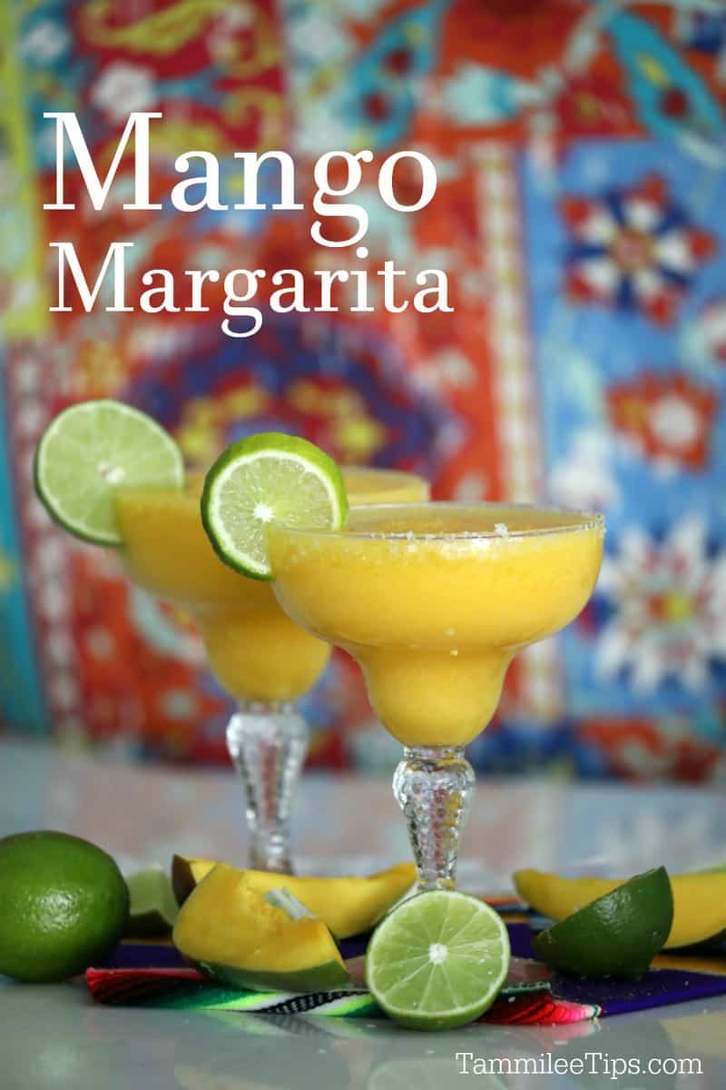 Frozen Mango Margarita Recipe {Video} - Tammilee Tips