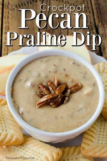 Crock Pot Pecan Praline Dip Recipe - Tammilee Tips