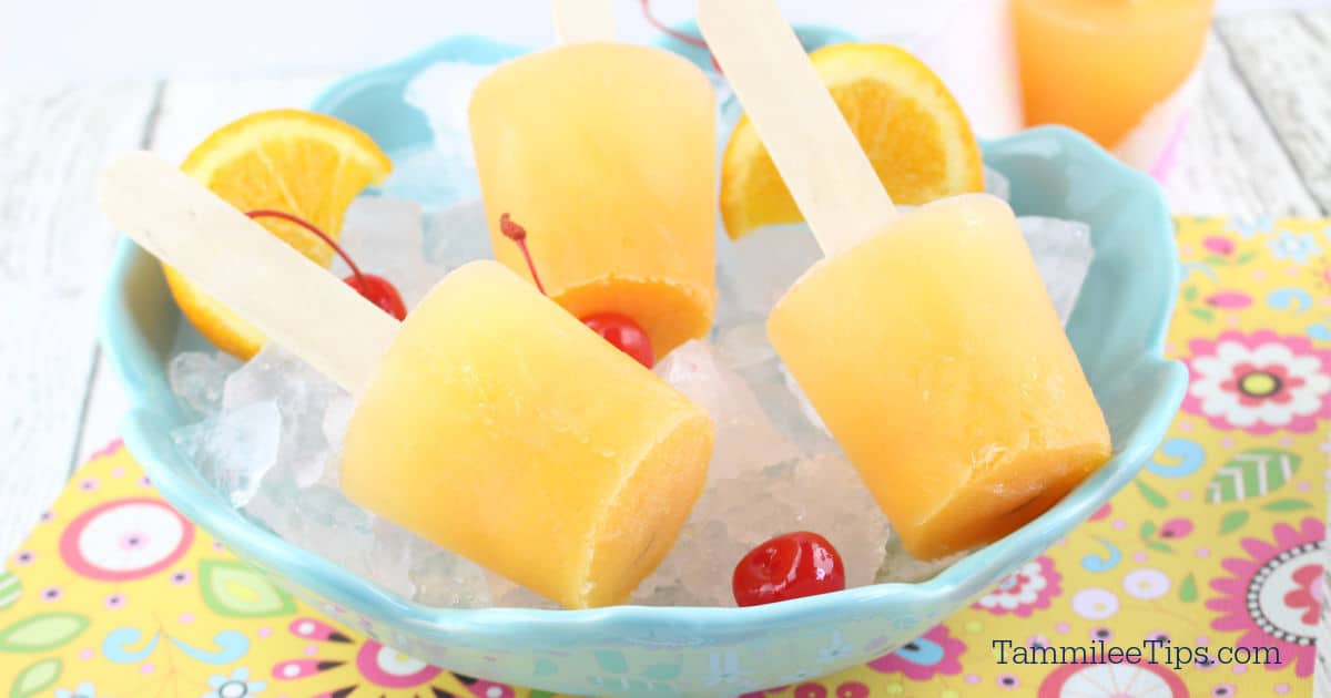 Alcoholic Adult Screwdriver Popsicle Recipe - Tammilee Tips