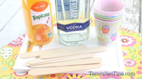 Alcoholic Adult Screwdriver Popsicle Recipe - Tammilee Tips