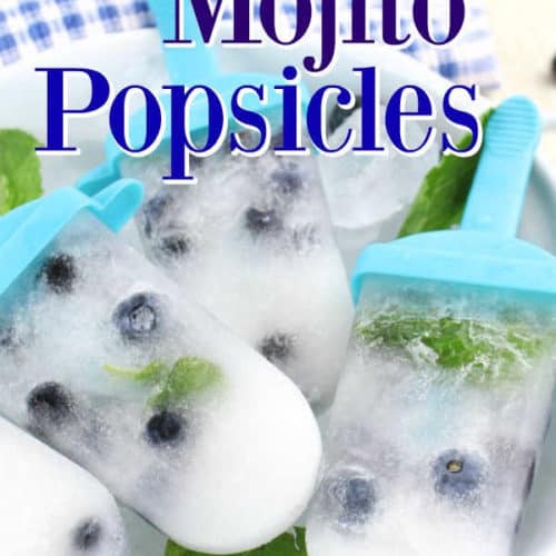 Alcoholic Adult Screwdriver Popsicle Recipe - Tammilee Tips