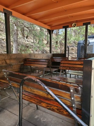 Yosemite Mountain Sugar Pine Railroad - Tammilee Tips