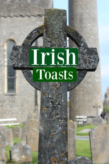 Celebrate with these great Irish Toasts - Tammilee Tips