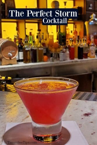 Alchemy Bar The Perfect Storm Cocktail - Tammilee Tips