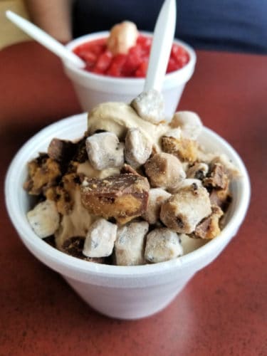 Best Ice Cream Spokane Guide - Tammilee Tips