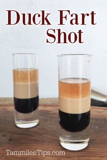 Layered Shots and How to pour them perfectly! - Tammilee Tips