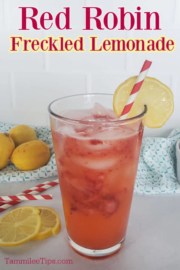 Copycat Red Robin Freckled Lemonade Recipe {Video} - Tammilee Tips