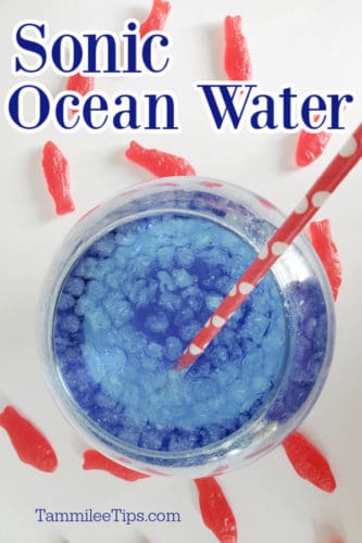 CopyCat Sonic Ocean Water Recipe {Video} - Tammilee Tips