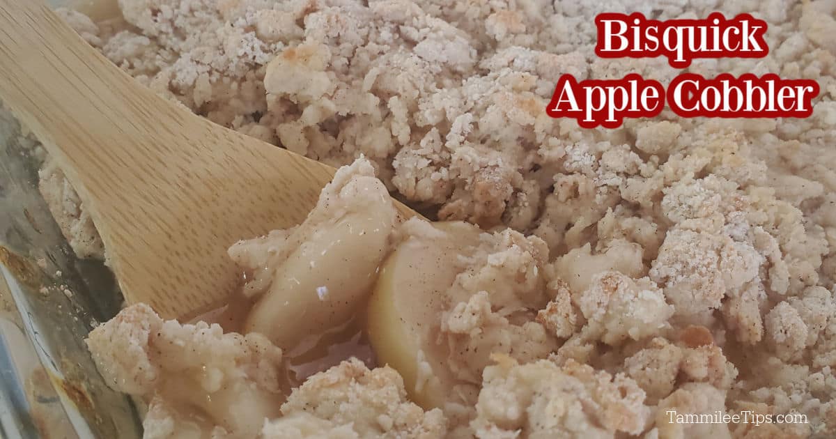 Bisquick Apple Cobbler Recipe {Video} - Tammilee Tips