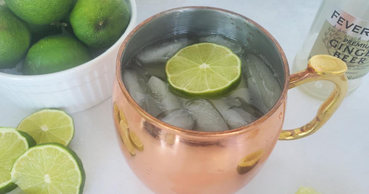 Easy Mexican Mule Recipe (Video) - Tammilee Tips