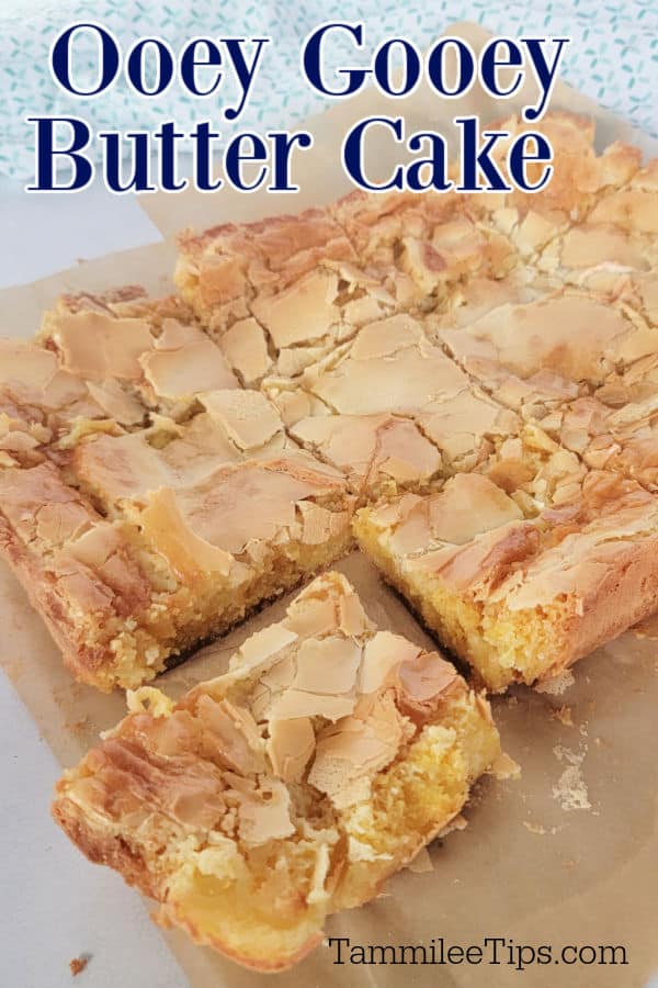 Ooey Gooey Butter Cake Recipe {Video} - Tammilee Tips