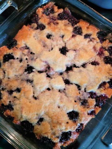 Bisquick Blackberry Cobbler - Tammilee Tips