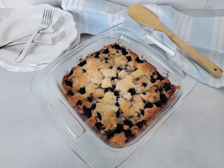 Bisquick Blackberry Cobbler - Tammilee Tips