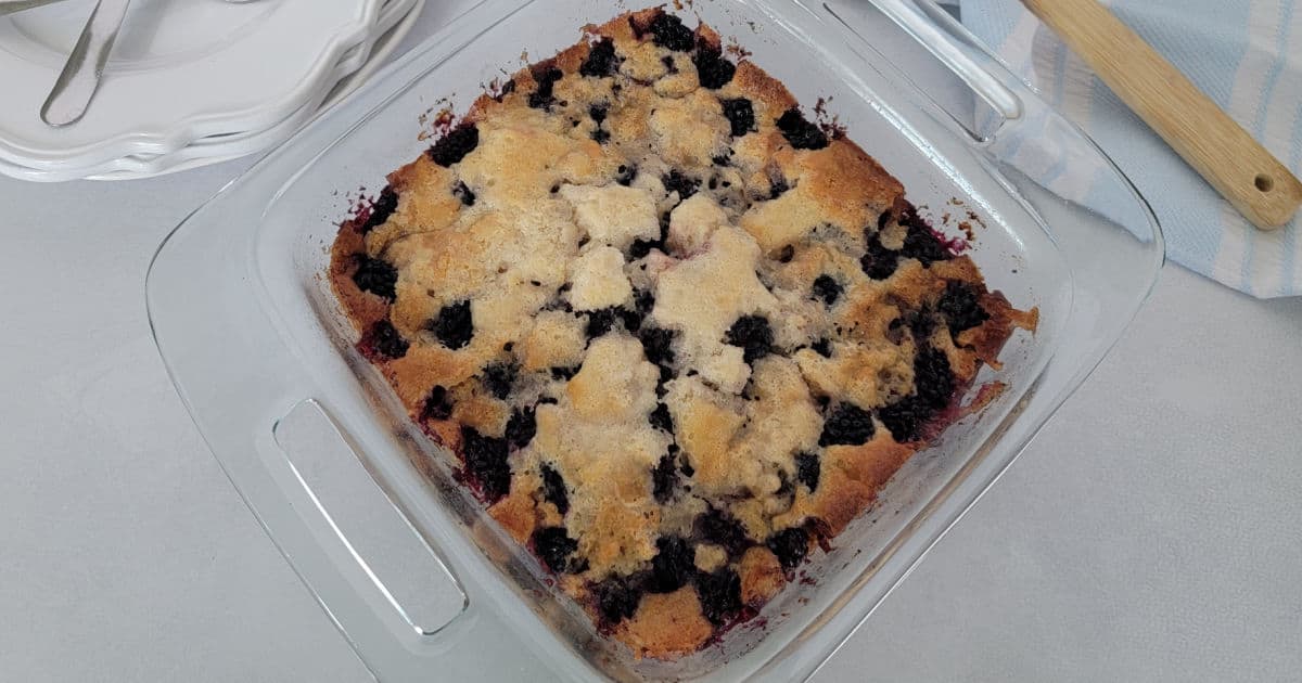 Bisquick Blackberry Cobbler - Tammilee Tips