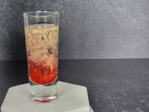Brain Hemorrhage Shot Recipe {Video} - Tammilee Tips