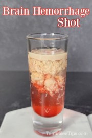 Brain Hemorrhage Shot Recipe {Video} - Tammilee Tips