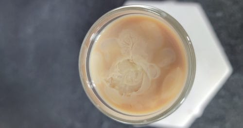 Cement Mixer Shot Recipe (Video) - Tammilee Tips