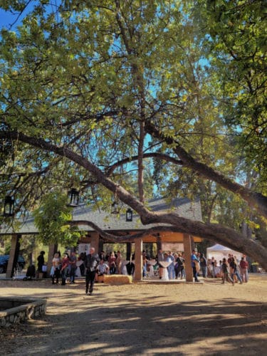 Things to do in Oakhurst, Ca {Video} - Tammilee Tips