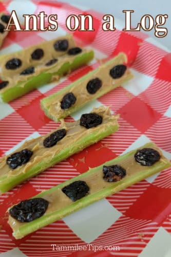 Ants on a Log - Tammilee Tips