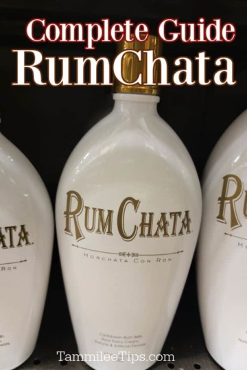 RumChata Drinks and Cocktails everyone loves! - Tammilee Tips
