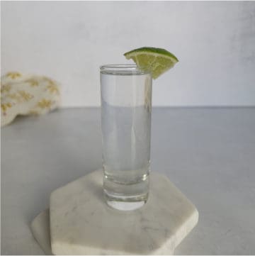 Vodka Shot Recipes - Tammilee Tips