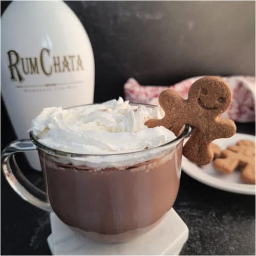 RumChata Hot Chocolate (Quick and Easy) - Tammilee Tips