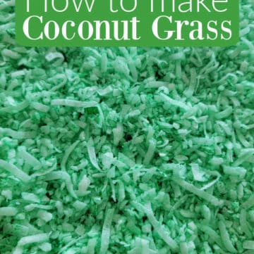 How to Dye Coconut Green - Tammilee Tips