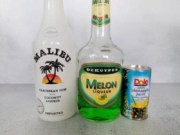 Ninja Turtle Shot - Tammilee Tips