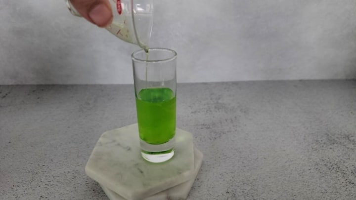 Ninja Turtle Shot - Tammilee Tips