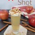 Apple Pie Shot Recipe - Tammilee Tips