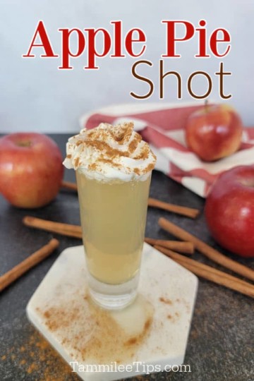 Apple Pie Shot Recipe {Video} - Tammilee Tips