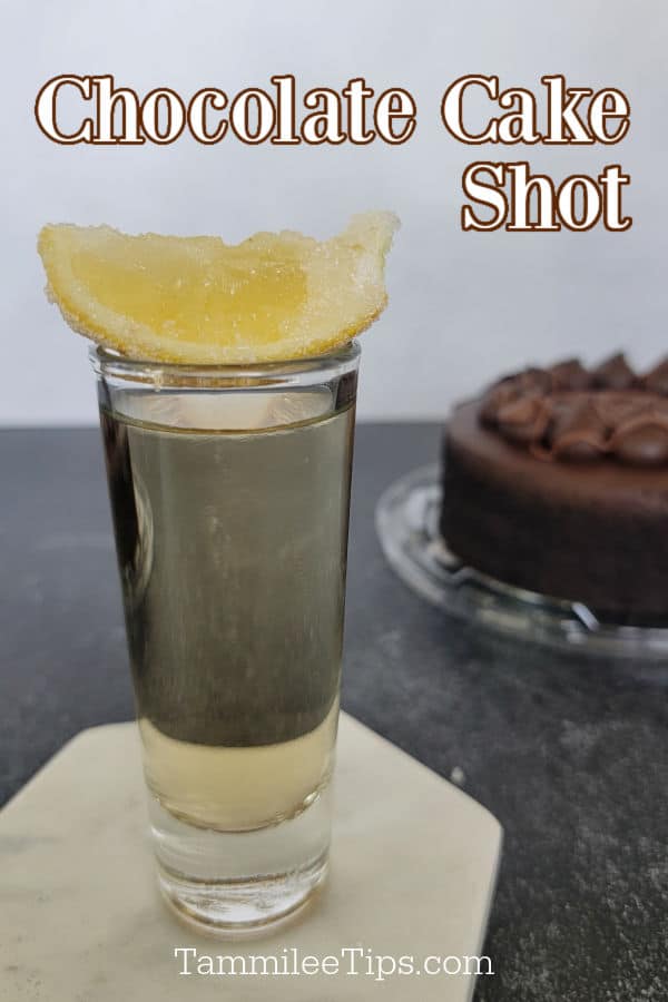 Chocolate Cake Shot Recipe {Video} - Tammilee Tips