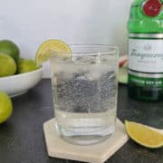 Gin and Sprite Cocktail Recipe - Tammilee Tips