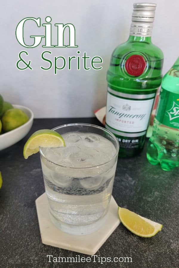 Gin and Sprite Cocktail Recipe - Tammilee Tips