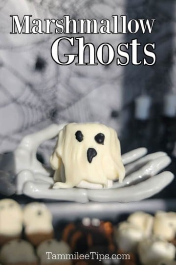 3 Ingredient Marshmallow Ghost - Tammilee Tips