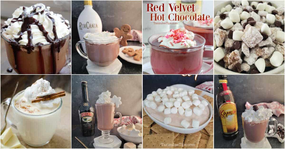 Best Hot Chocolate Recipes (Easy and Delicious) - Tammilee Tips