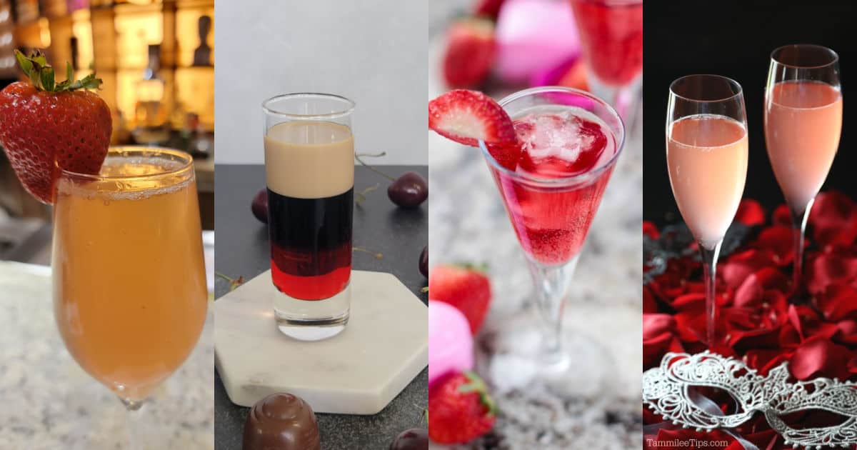 25 Easy Valentines Day Cocktails Toasts Tammilee Tips