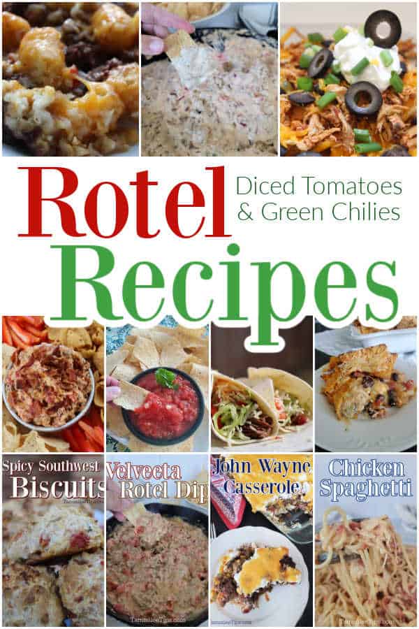 Rotel Recipes (Dips, Appetizers, Entree, Bread, Slow Cooker) - Tammilee ...